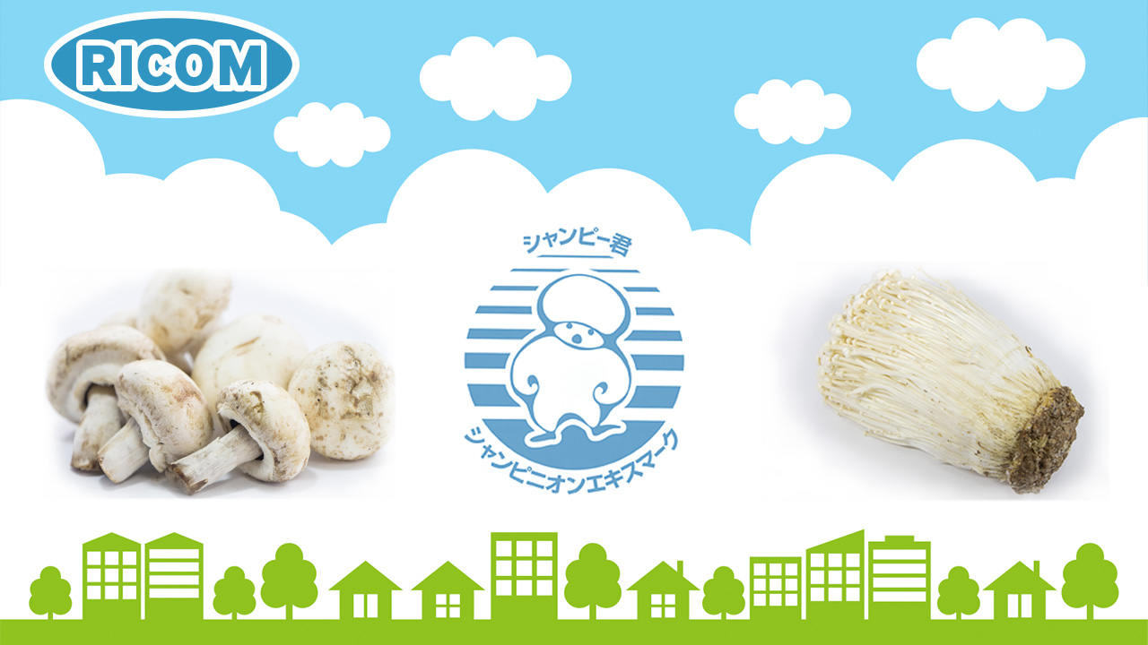 キトグルカン®（キノコキトサン） - RICOM